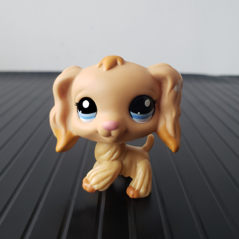 Menor Pet Shop Cocker Spaniel