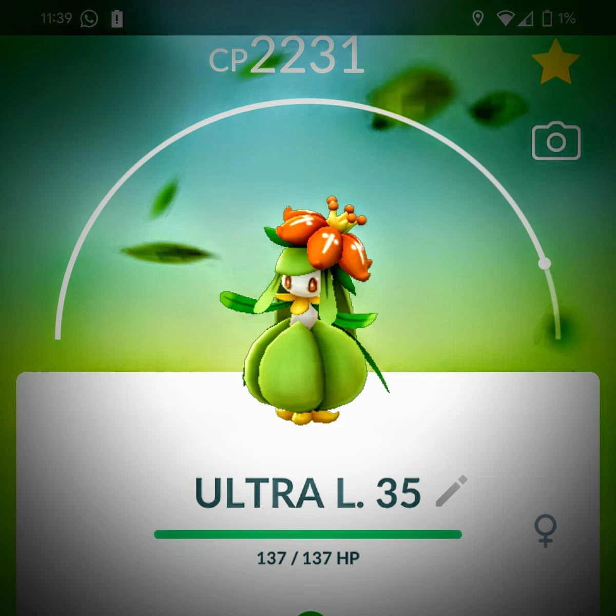 Pokemon Lilligant Evolution