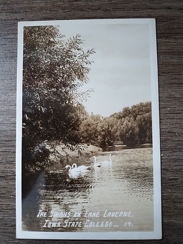 Swans On Lake Laverne Iowa State College Vintage Postcard | eBay