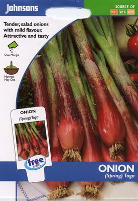 Johnsons Seeds - Pictorial Pack - Vegetable - Onion (Spring) Toga - 300 ...