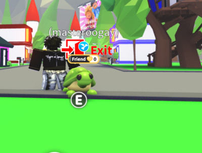 [FR] TURTLE - Adopt From ME- (Fly Ride)- *SAME DAY DELIVERY* | eBay