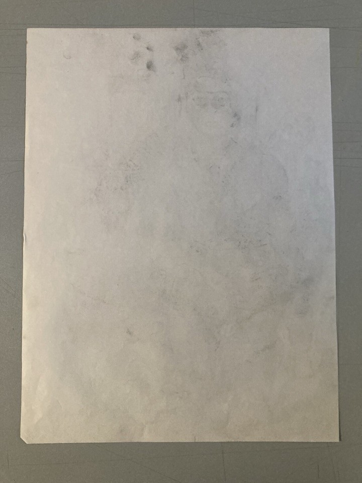 Very Beautiful Drawing Pencil Skull Skeleton Head 1960 Curiosity Art ...