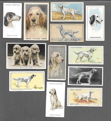 Lot Of 12 Vintage ENGLISH SETTER Cigarette Cards Tobacco Tea Swap ...