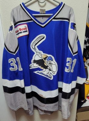 1999-00 Binghamton B.C. Icemen UHL Jim Dinneen Game Worn Jersey Goalie ...