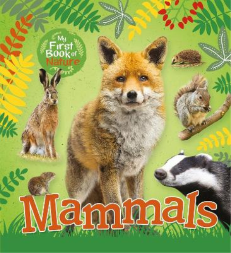 Victoria Munson My First Book of Nature: Mammals (Paperback) (UK IMPORT ...