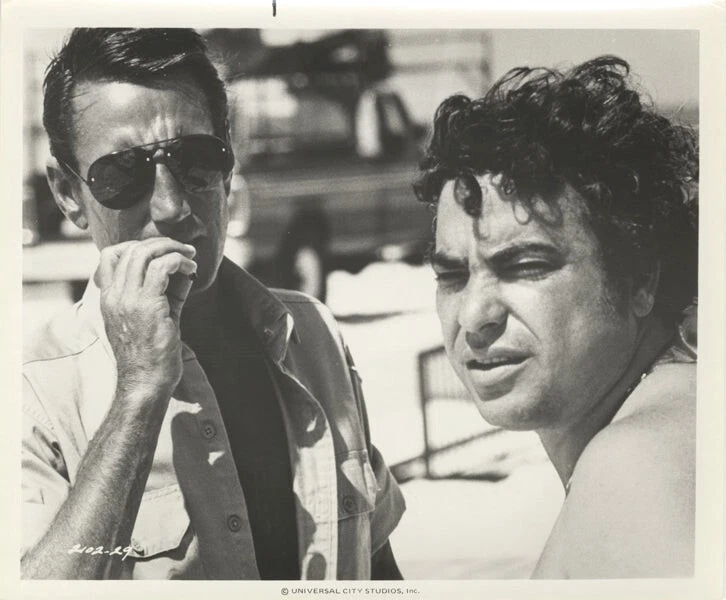 Roy Scheider Jaws 2