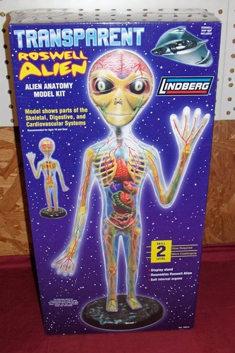 19” Roswell Alien Transparent Anatomy Model Kit Lindberg Toy Space Man ...