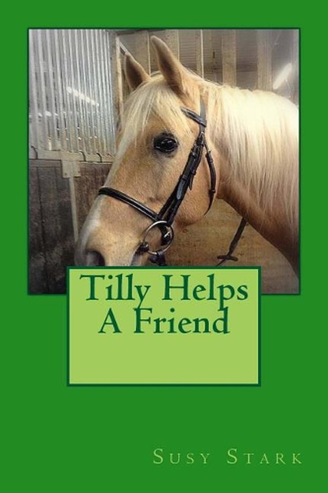 Tilly Helps A Friend by Susy Stark (English) Paperback Book ...