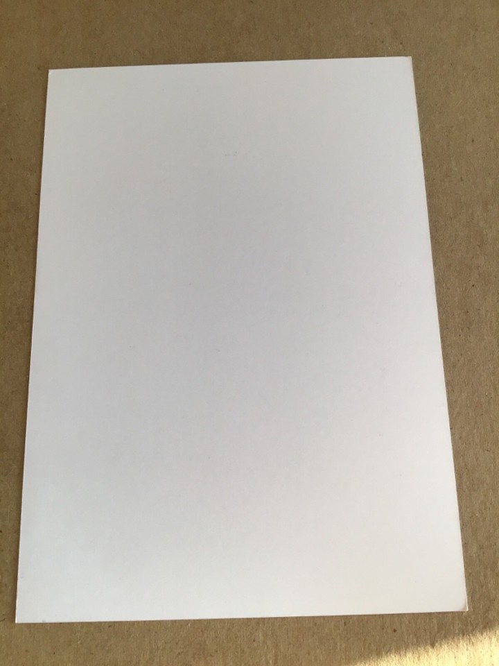 Etienne Capoue, France 🇫🇷 Watford FC 2018/19 PRINT | eBay