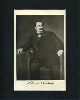 Grover Cleveland 22 And 24 US President Original Engraving Book Photo ...