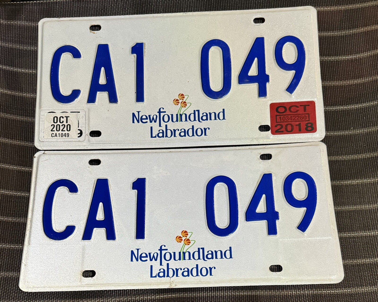 MINT Newfoundland 2018 COMMERCIAL License plate PAIR CA1 049 | eBay