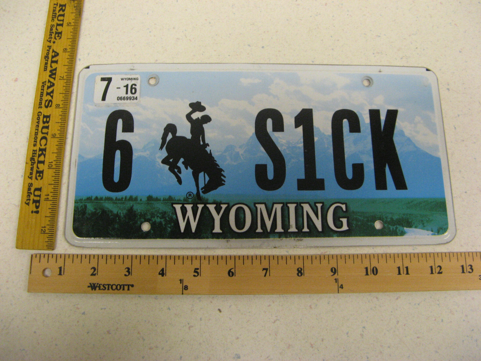 2016 16 WYOMING WY VANITY LICENSE PLATE # 6 S1CK SICK ILL NOT FEELING ...