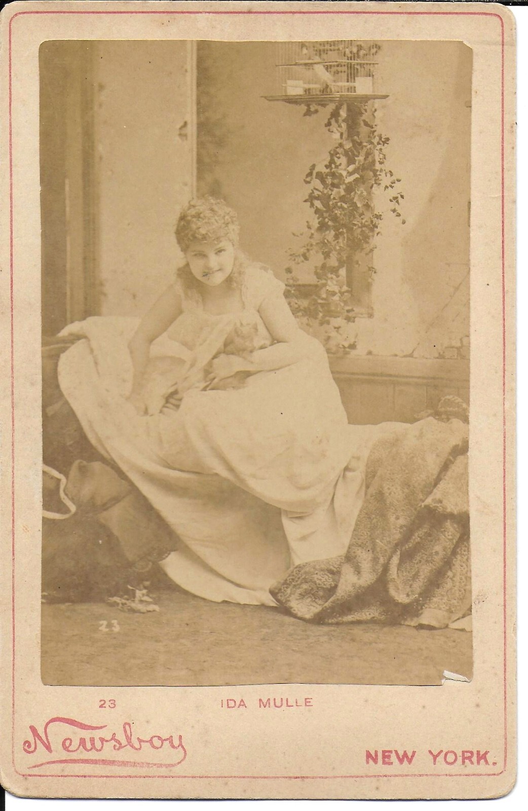 Stage Actress Ida Mulle Holds Cat Cabinet Photograph by Newsboy 1890s ...