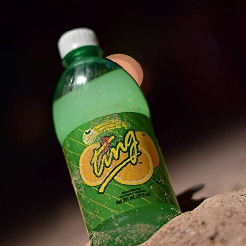 Ting Lightly Carbonated Soda 20 Oz Pack of 24 for sale online | eBay