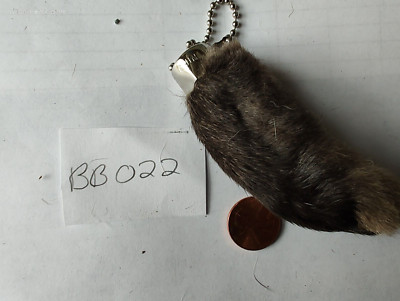 Real Natural Lucky Rabbit Foot Keychain with nails Dark Brown color ...