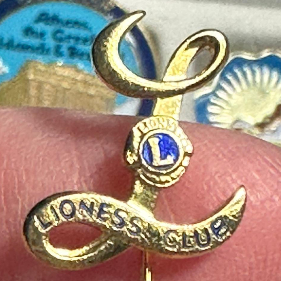 The Lions Club The Lioness Club Vintage Lapel Pin T-6… - Gem