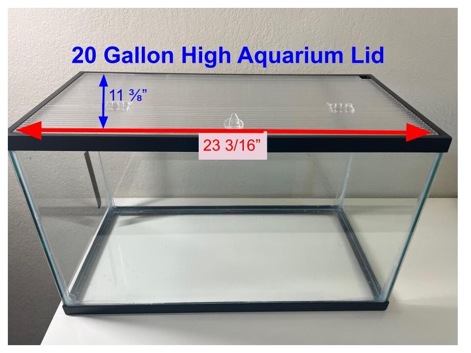 20 Gallon High Aquarium Dimensions Concept Glass Abyss Panorama 20g