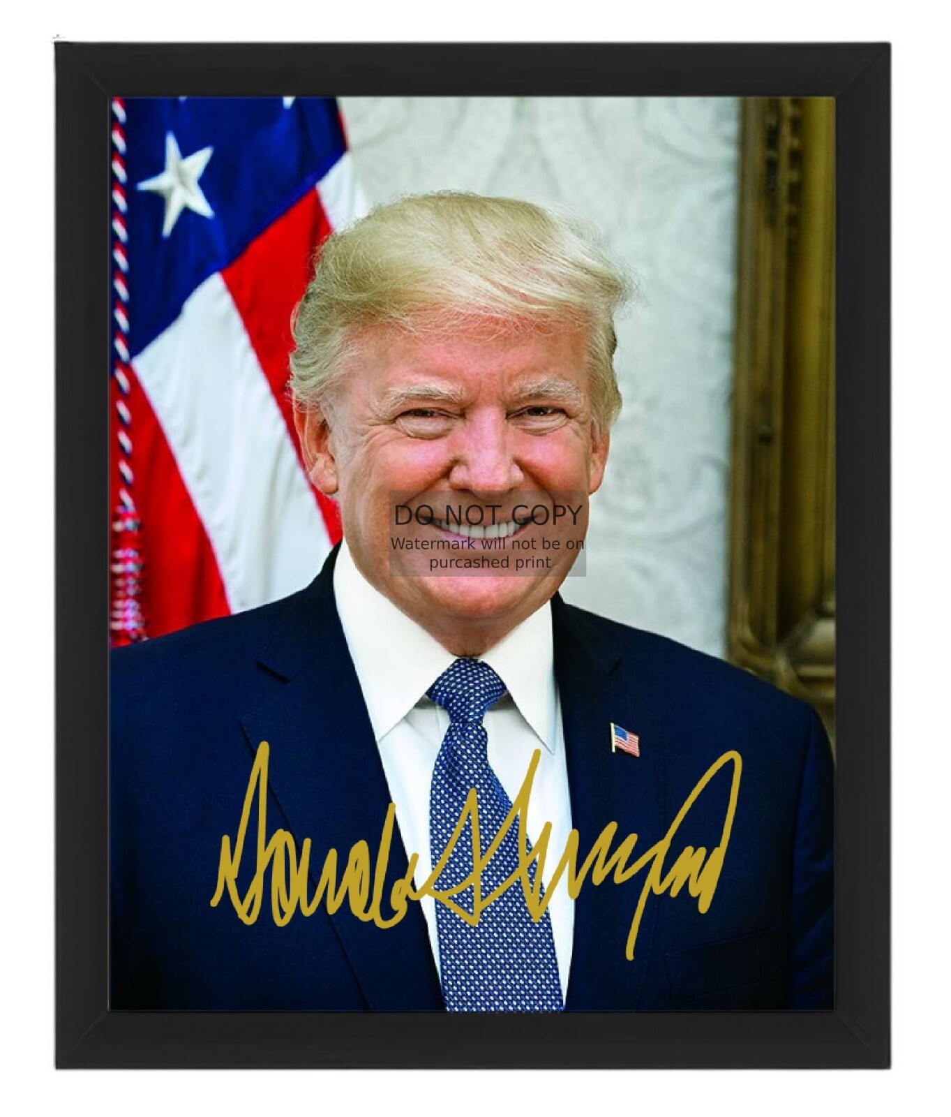 PRESIDENT DONALD TRUMP OFFICIAL PORTRAIT AUTOGRAPHED 8X10 FRAMED ...