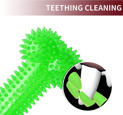 Green BBDOGO Dog Squeaky Bone Chew Toy (3 toys) | eBay