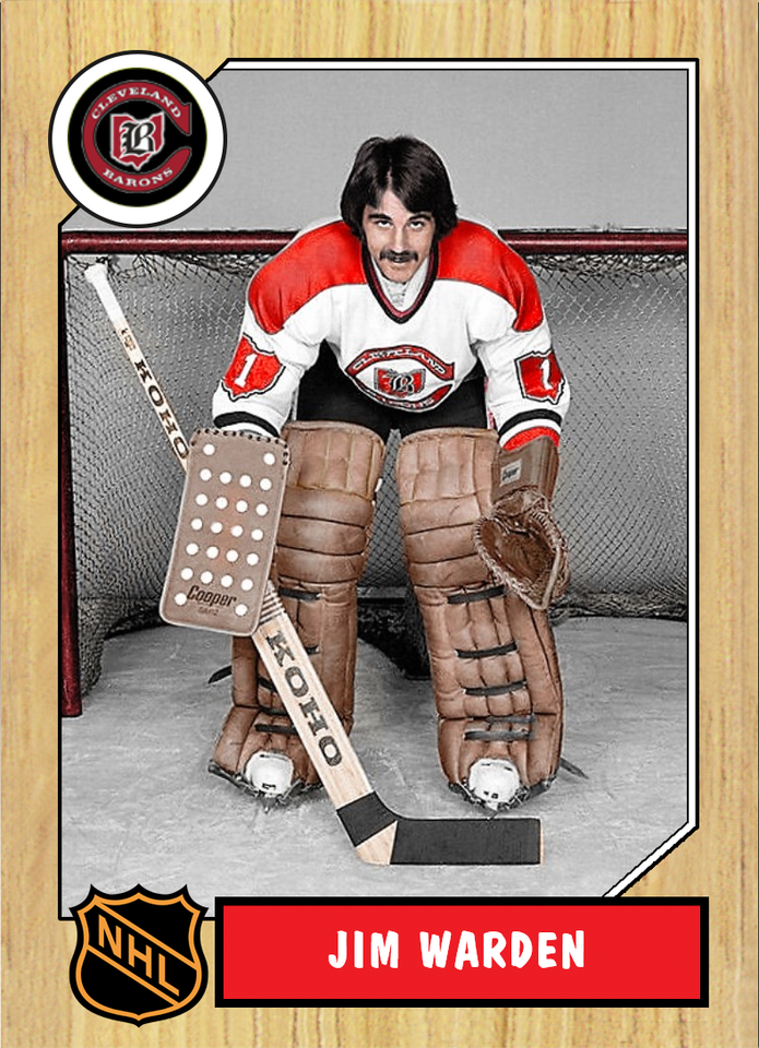 Hand Made Hockey Art Photo Cards 2.5” x 3.5” Stars Goalies Mint U-Pick ...