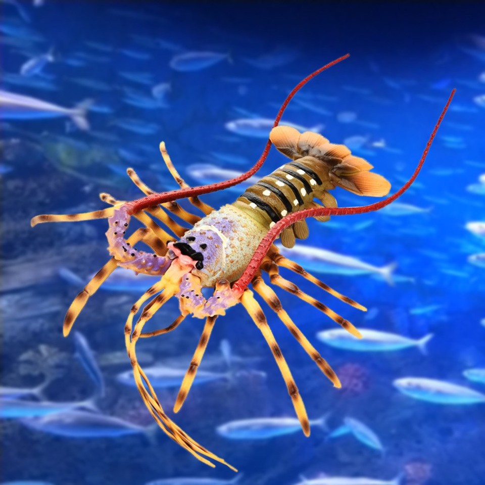 Lobster Model Creative Lifelike Lobster Decor Funny Toy Lobster for ...