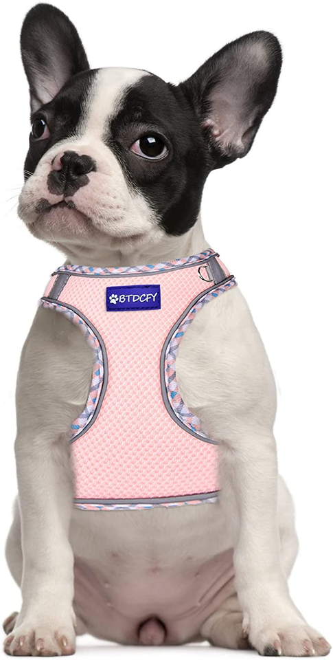 Step in Mesh Dog Harness and Leash Set Breathable Air Mesh Reflective ...