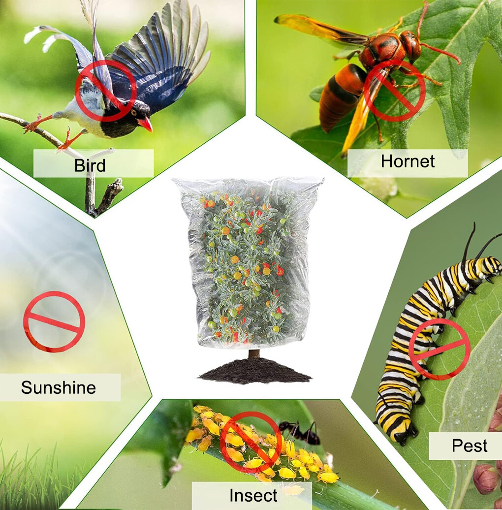 Fruit Fly Net Insect Mesh Vegetable Garden Plant Crop Protection Cover ...