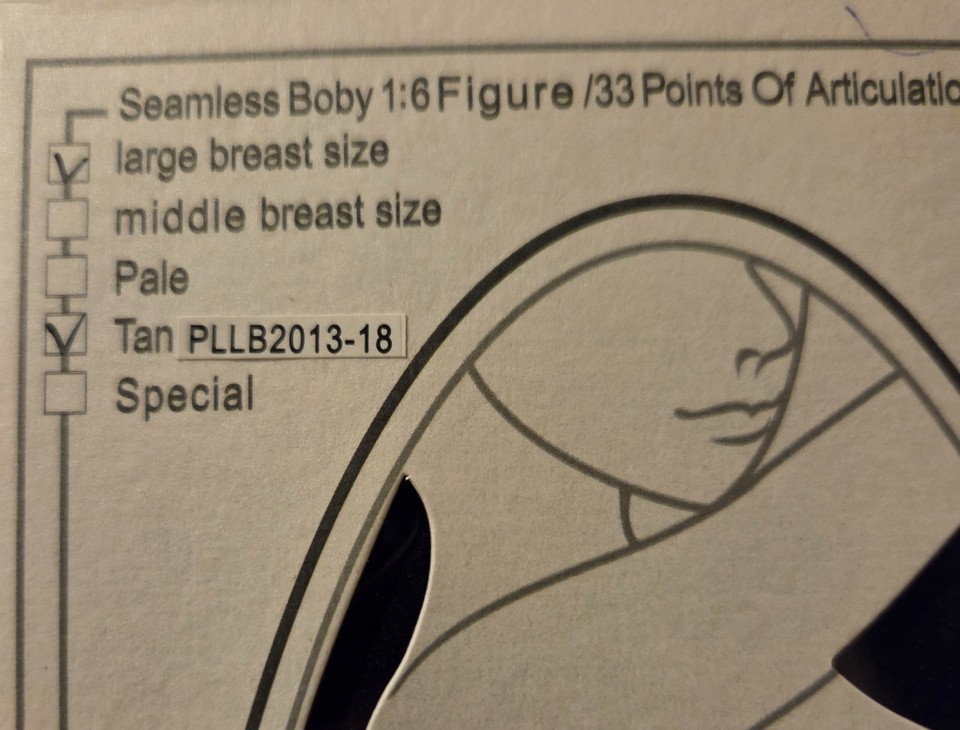 PHICEN Seamless Female Body PLLB2013-18 1/6th Scale Boxed | eBay UK