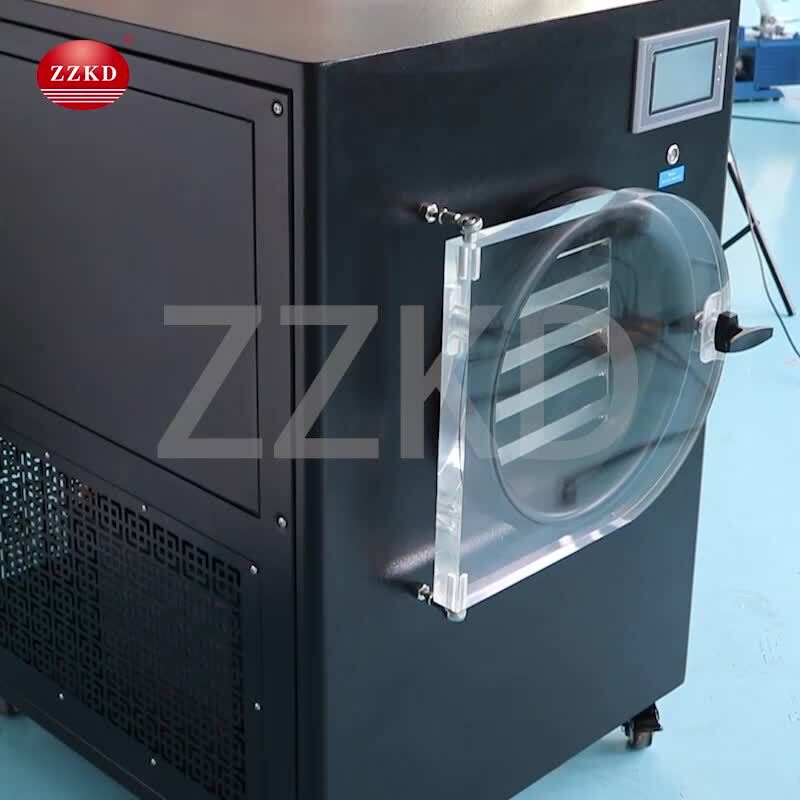 Home Freeze Dryer Food Vegetable Fruit Drying Lyophilizer Machine 110V ...