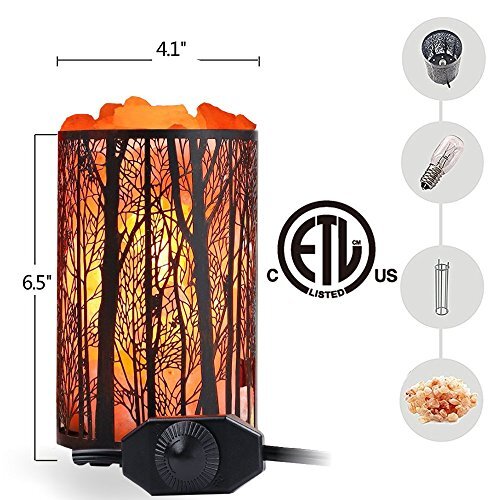 Himalayan Salt Lamp, Salt Rock Lamp Natural Night Light in Forest ...