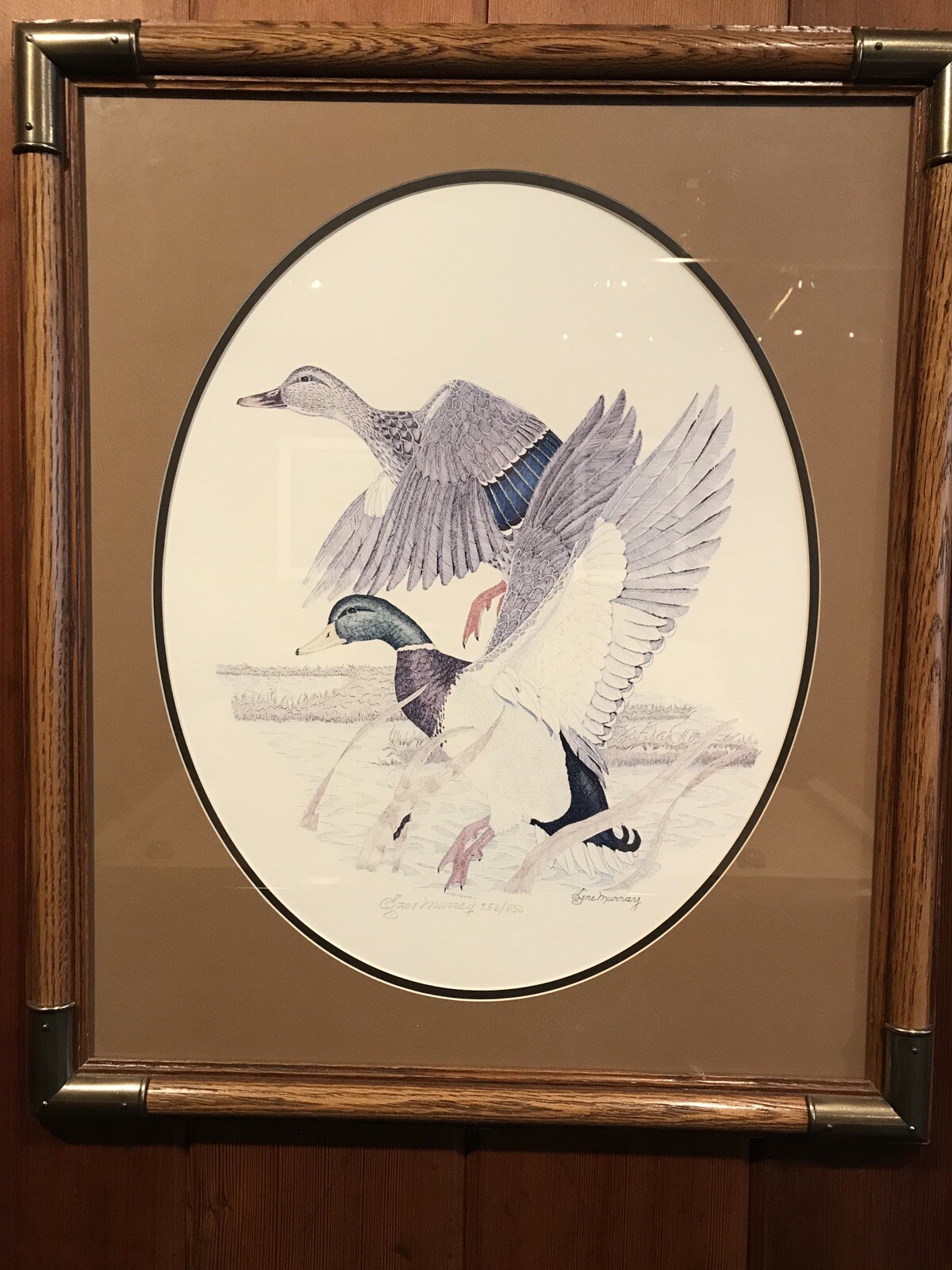 Gene Murray Pen and Ink Flying Ducks World Famous Double Signed and ...