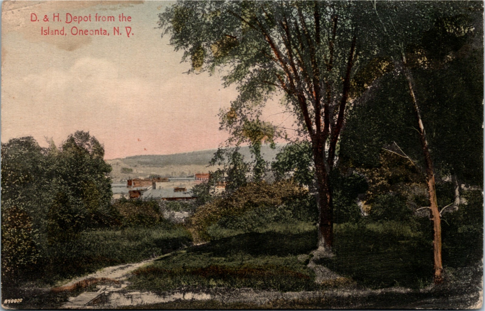Postcard NY Oneonta Delaware & Hudson Railway - Depot from the Island ...