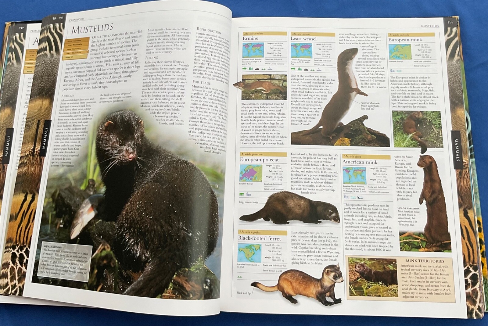 2001 DK ANIMAL THE DEFINITIVE VISUAL GUIDE TO THE WORLD'S WILDLIFE ...