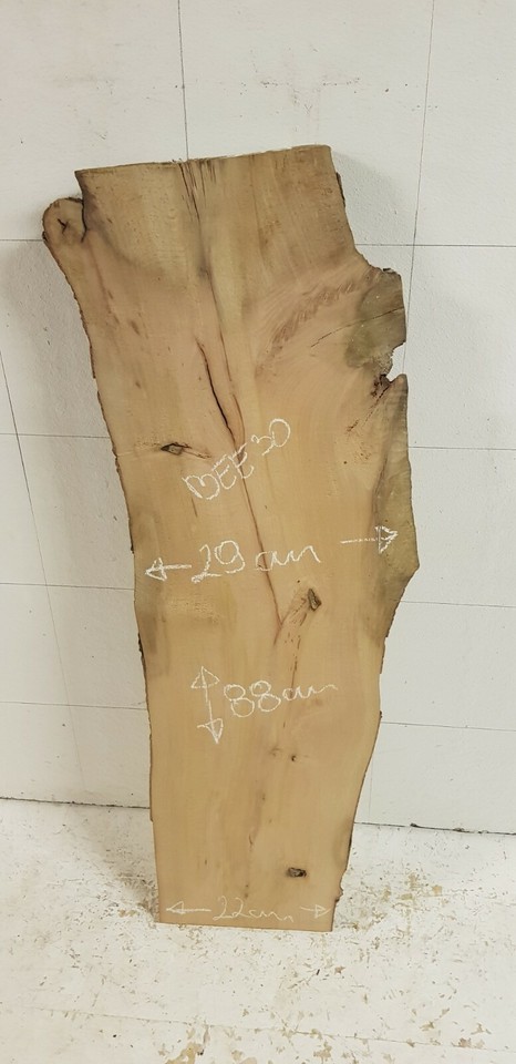 Apple,Cherry,Walnut,Oak Burr,Pippy Live Edge Plank,Slab Shelf,Epoxy ...