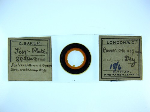 Antique microscope slide by Eduard Thum. "Diatom Test plate. 20 Diatoms ...