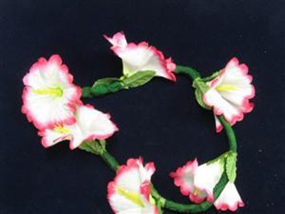 Magic Trick WONDER VINE - FT Creeper Flower | eBay