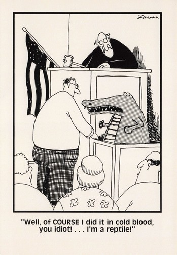 Postcard The Far Side Gary Larson Well Of Course I Did It Reptile Cold ...
