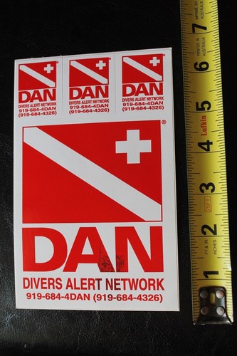 DIVERS ALERT NETWORK DAN Scuba Snorkel Dive Vintage Surfing/Diving ...