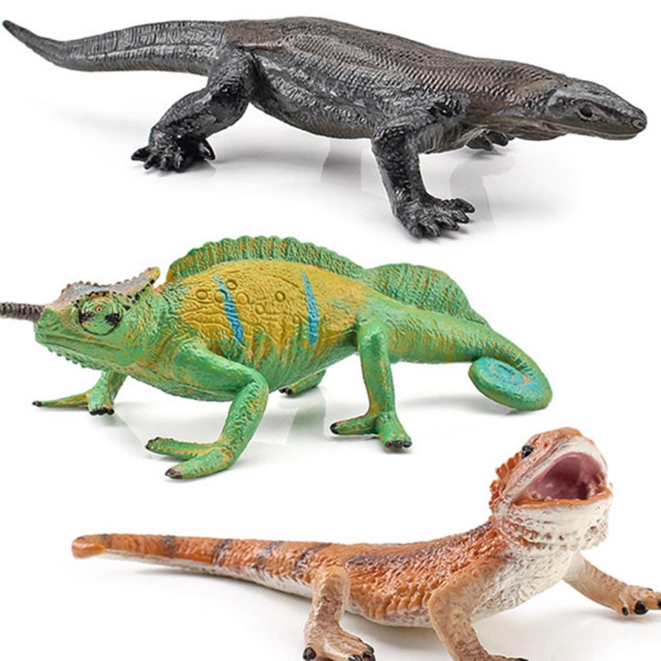 3x PVC Animals Action Figures Toys Set Zoo Animal Models | eBay Australia