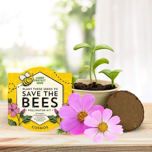 Buzzy Seeds Save The Bees Biodegradable Grow Kit | Herb, Plant, Asst ...