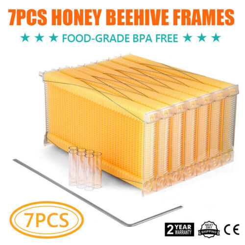 7Pcs Auto Honey Beekeeping Comb Beehive Frames Bee Hive Frames For ...