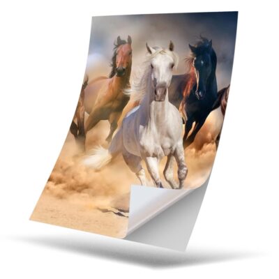 1 x Vinyl Sticker A4 - Mustang Herd Horse Animals #8532 | eBay