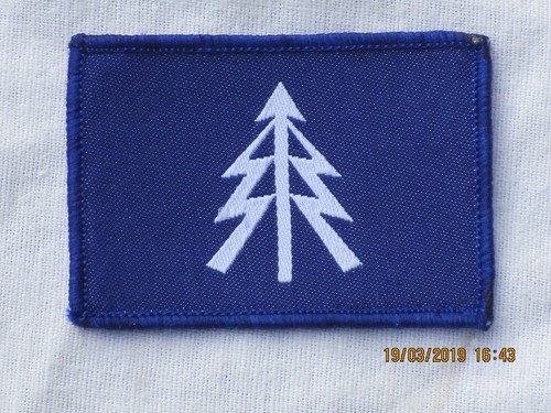 1st Queens Dragoon Guards, Reconnaissance Platoon,RECCE,TRF,Patch,blau ...