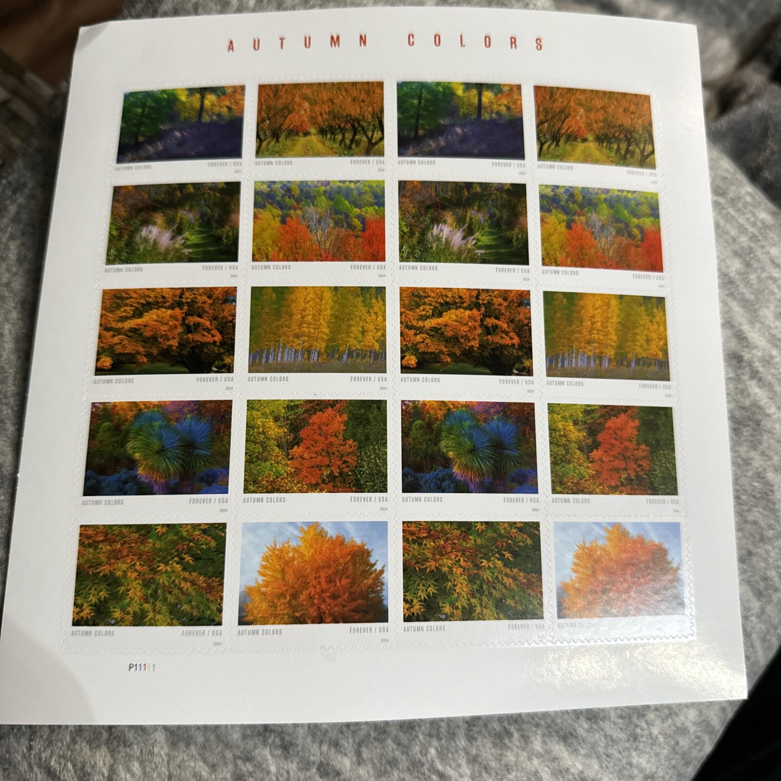 20 USPS First-Class Forever STAMPS Sheet of 20 Autumn colors | eBay