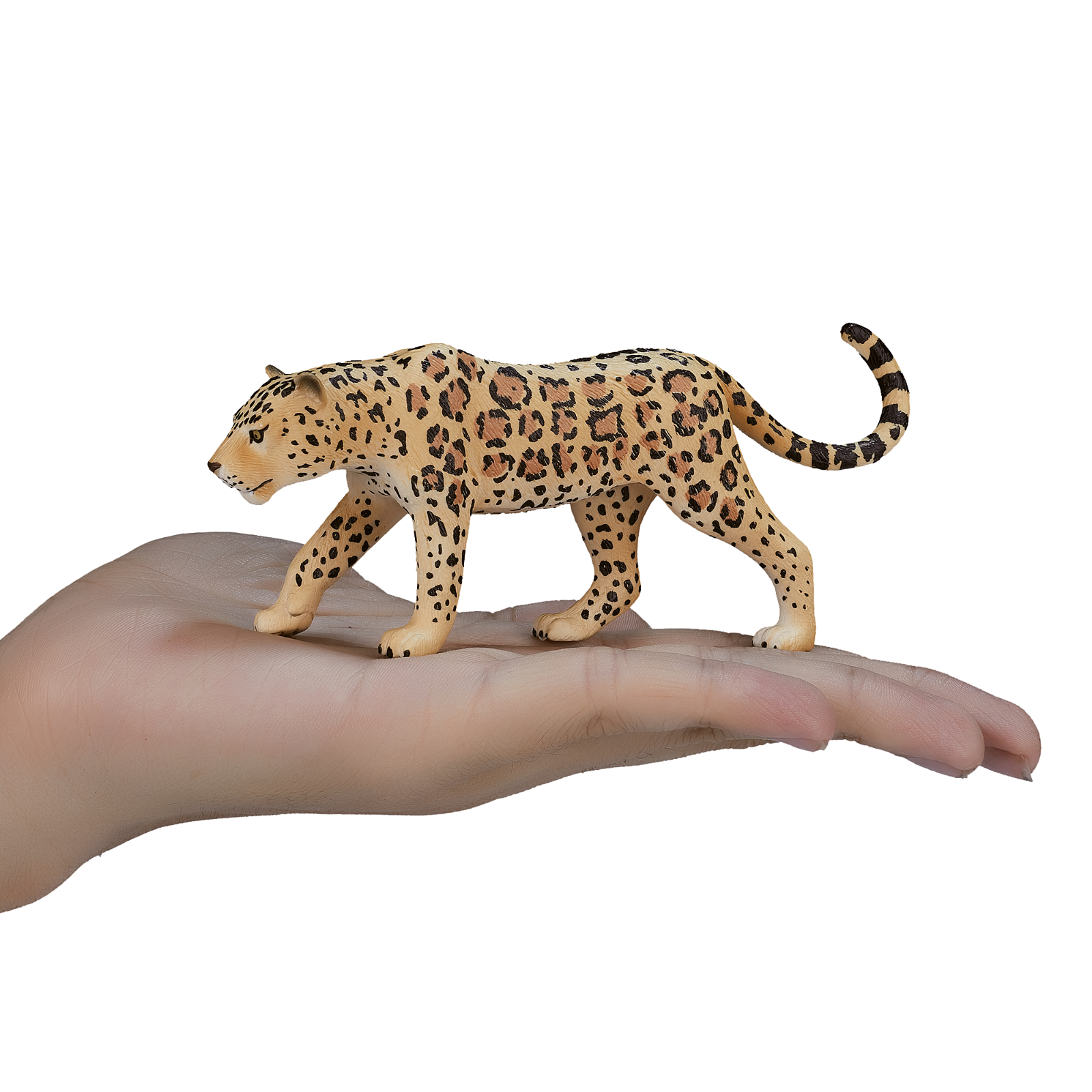 .Mojo LEOPARD Wild zoo animals play model figure toys plastic forest ...