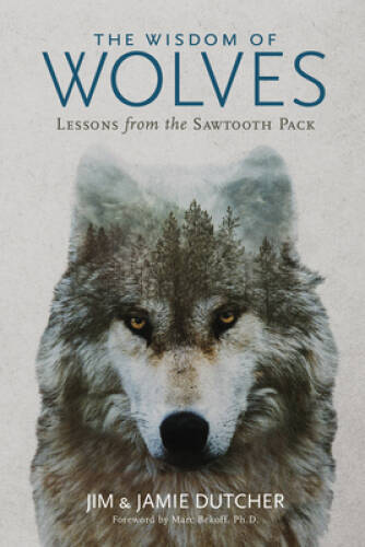 The Wisdom of Wolves: Lessons From the Sawtooth Pack - Paperback - GOOD ...
