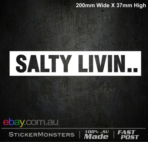 SURF SALTY LIVIN Sticker 200mmW Surfing Water Sports Bodyboarding Car ...