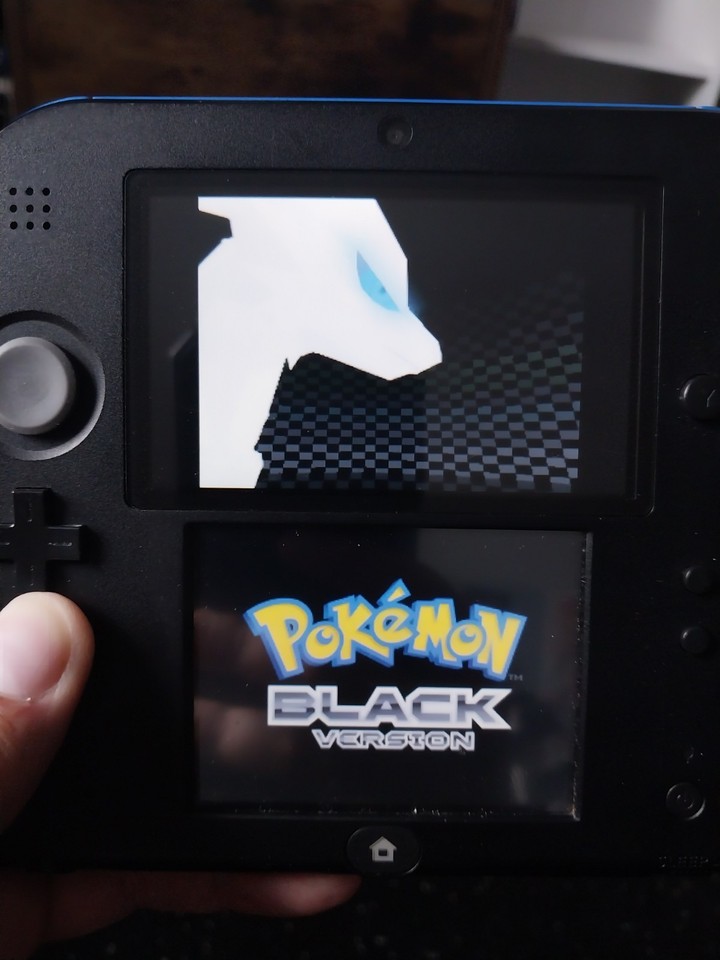 Nintendo 2DS Bundle with 3 Pokémon Games and Accessories | eBay