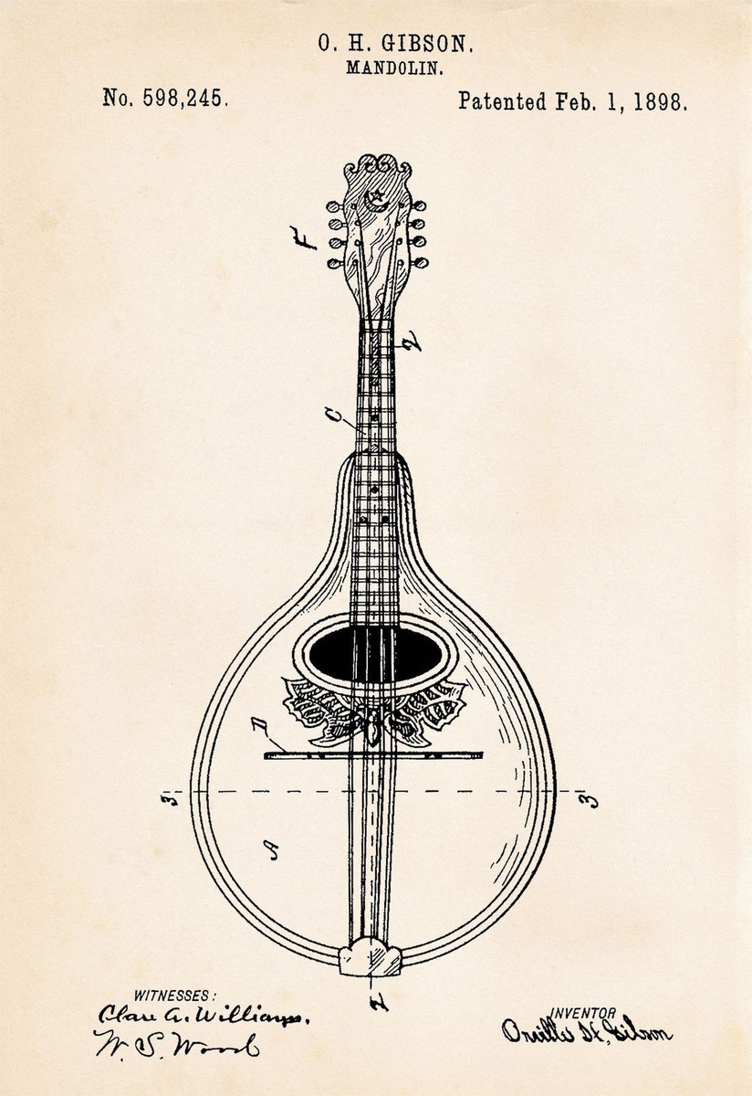 Mandolin Drawing
