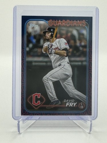 David Fry 2024 Topps Series 2 Team Color Parallel Card No. 446 | eBay